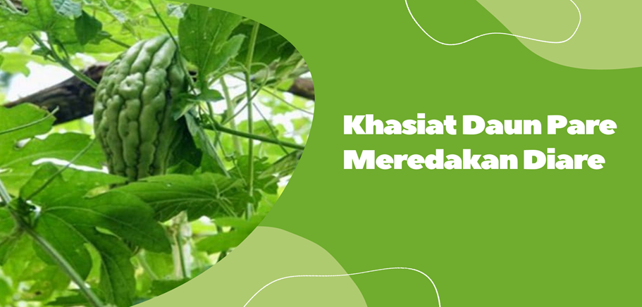 Khasiat Daun Pare Meredakan Diare