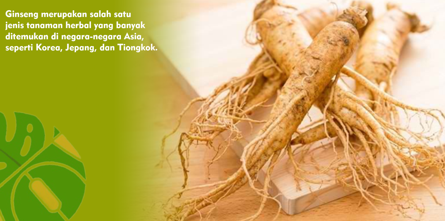 Manfaat Ginseng, Baik Untuk Meningkatkan Daya Tahan Tubuh