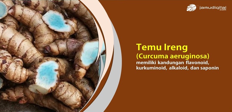 Ramuan Meningkatkan Nafsu Makan Anak